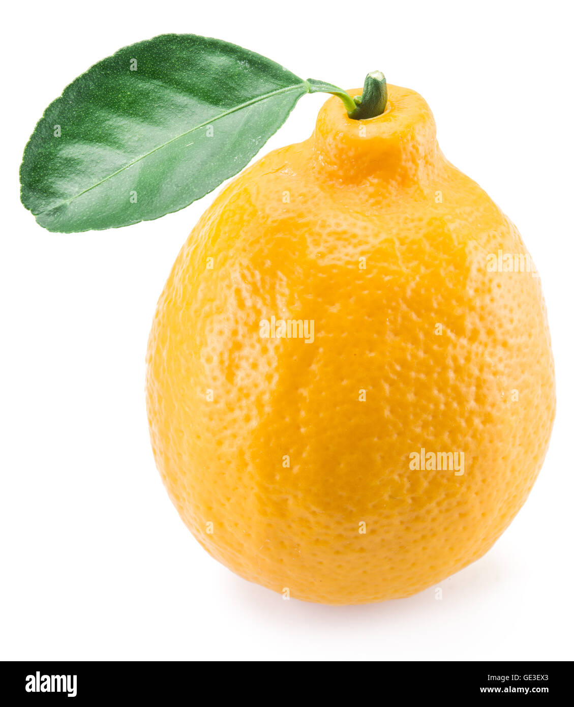 Isolated lemon fruit Cut Out Stock Images & Pictures - Alamy