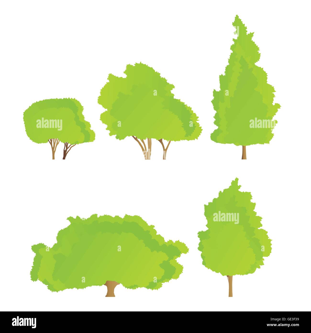 Trees detailed illustration collection background vector Stock Vector ...