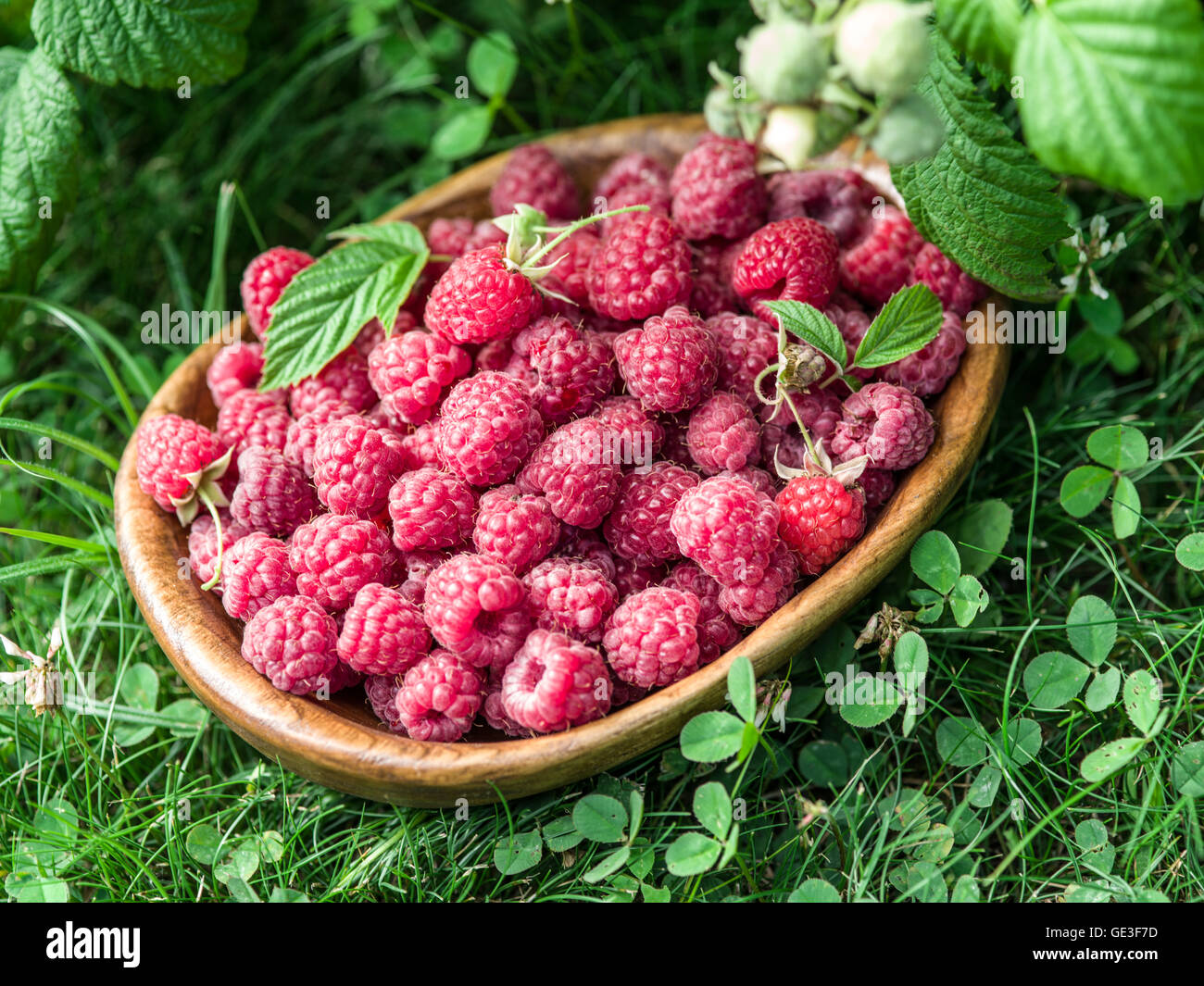 Raspberries in the wooden bowl in the grass Stock Photo - Alamy