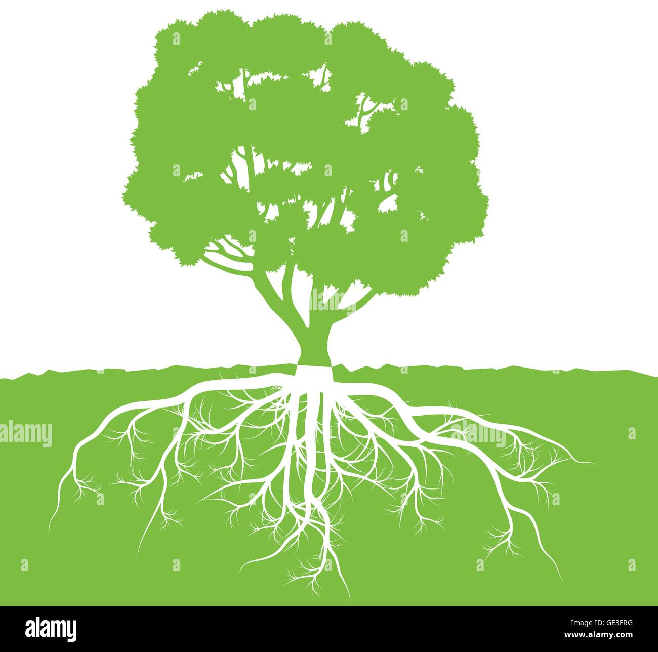 Tree with roots background ecology vector concept for poster Stock ...