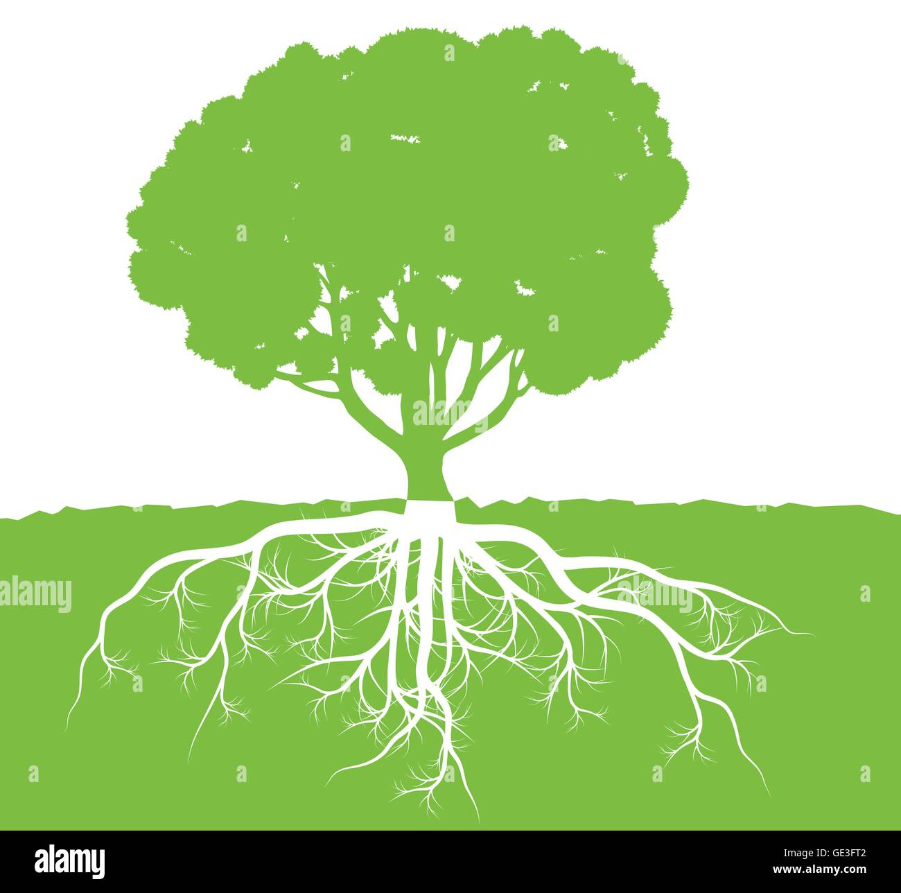 Complete plant roots Stock Vector Images - Alamy