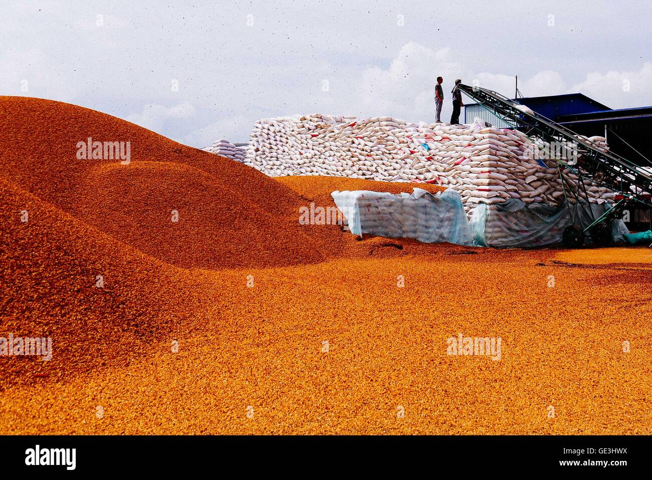 Including dried berries hi-res stock photography and images - Alamy