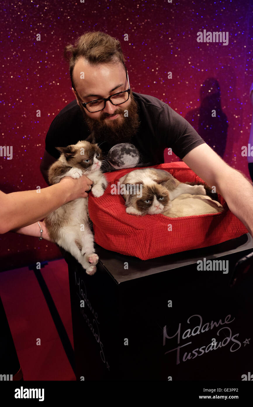 London, UK. 23rd July, 2016. Grumpy Cat, real name Tardar Sauce, meets ...