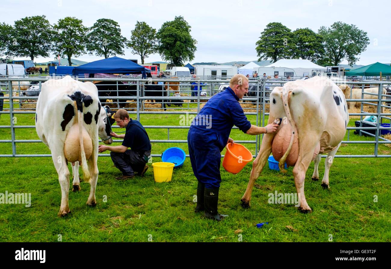 Biggar agricultural show biggar south hi-res stock photography and ...