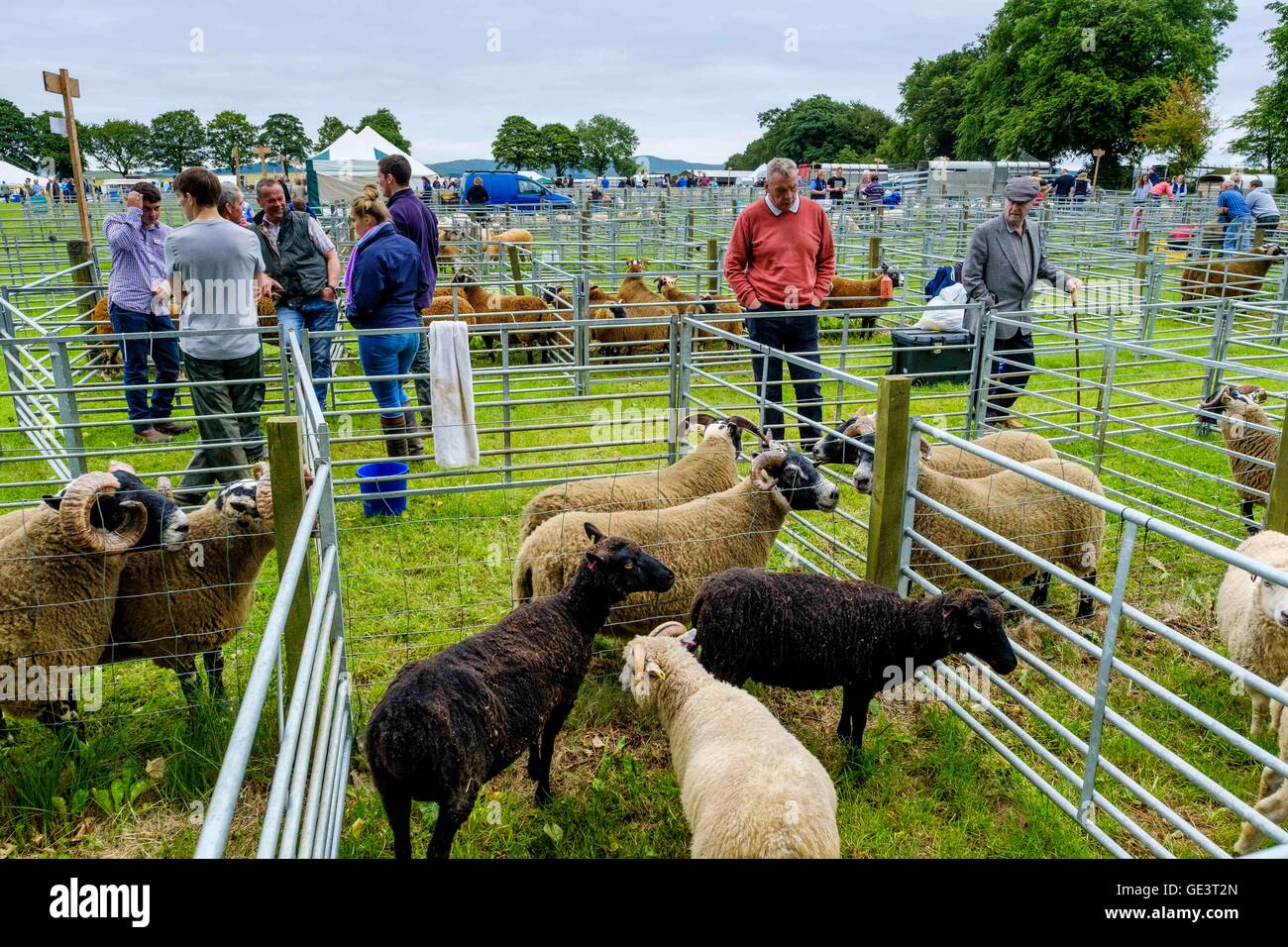 Biggar agricultural show biggar south hi-res stock photography and ...