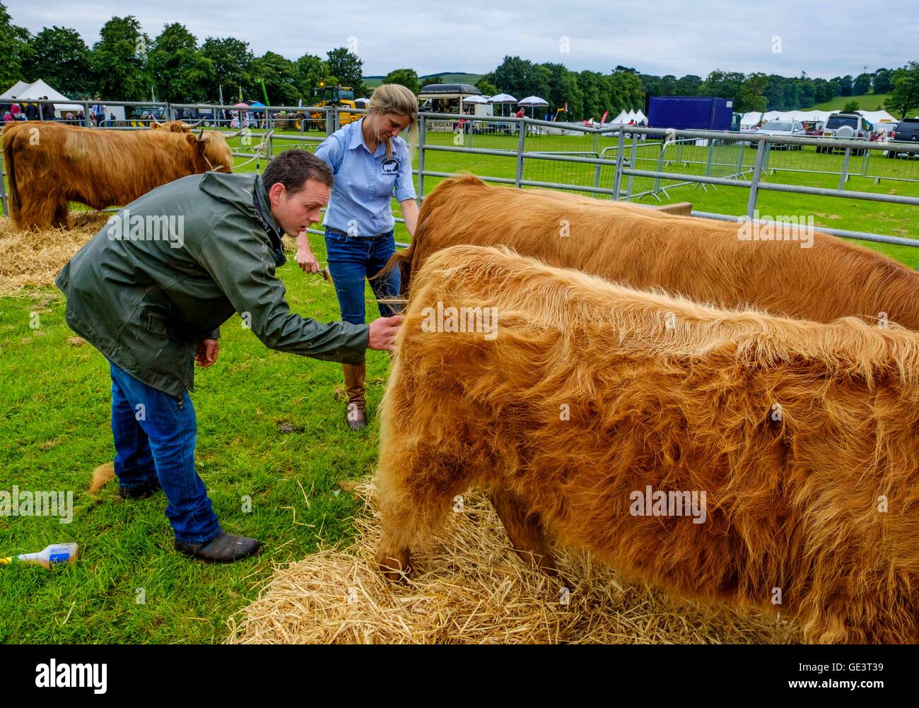 Biggar agricultural show biggar south hi-res stock photography and ...