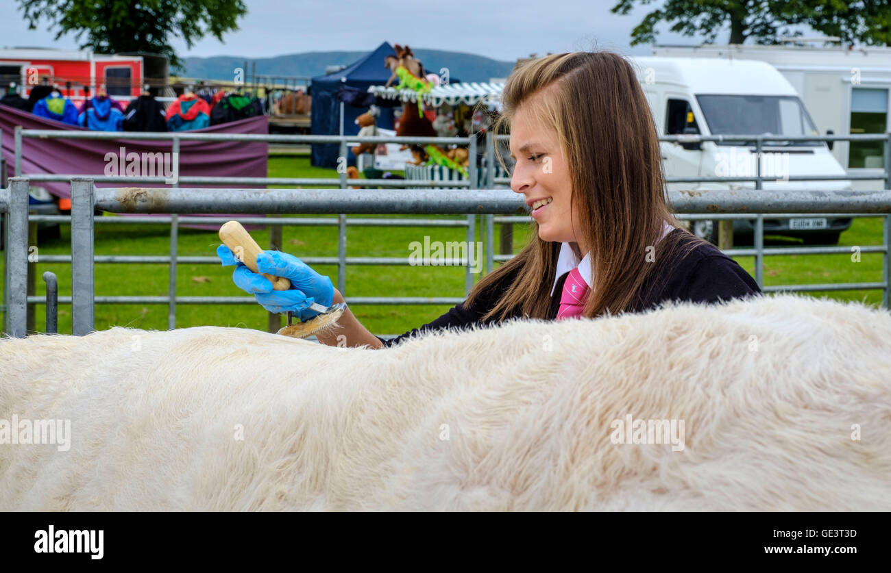 Biggar agricultural show biggar south hi-res stock photography and ...