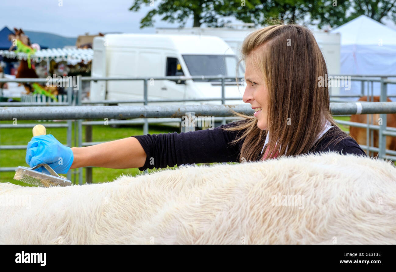 Biggar agricultural show biggar south hi-res stock photography and ...