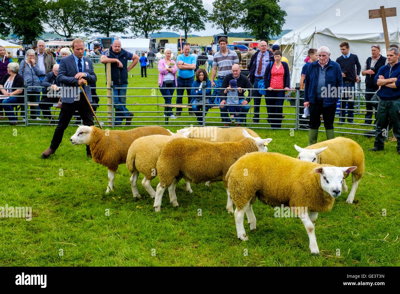 Biggar agricultural show biggar south hi-res stock photography and ...
