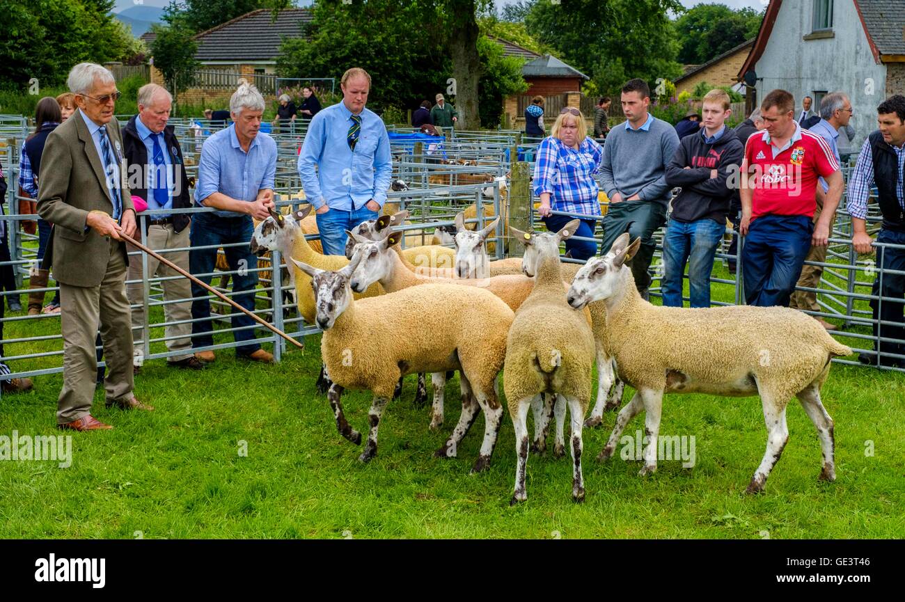 Biggar agricultural show biggar south hi-res stock photography and ...