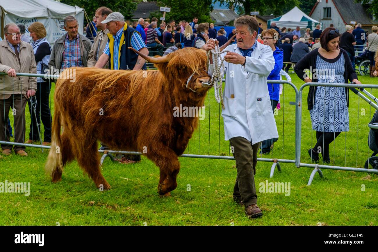 Biggar agricultural show biggar south hi-res stock photography and ...