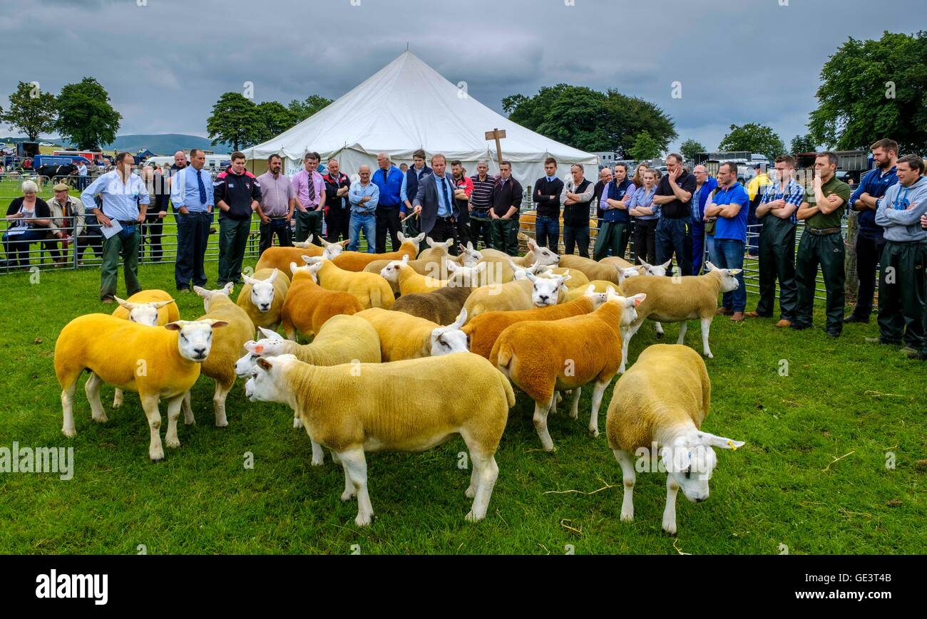 Biggar Agricultural Show - Biggar, South Lanarkshire - 23rd July 2016 ...