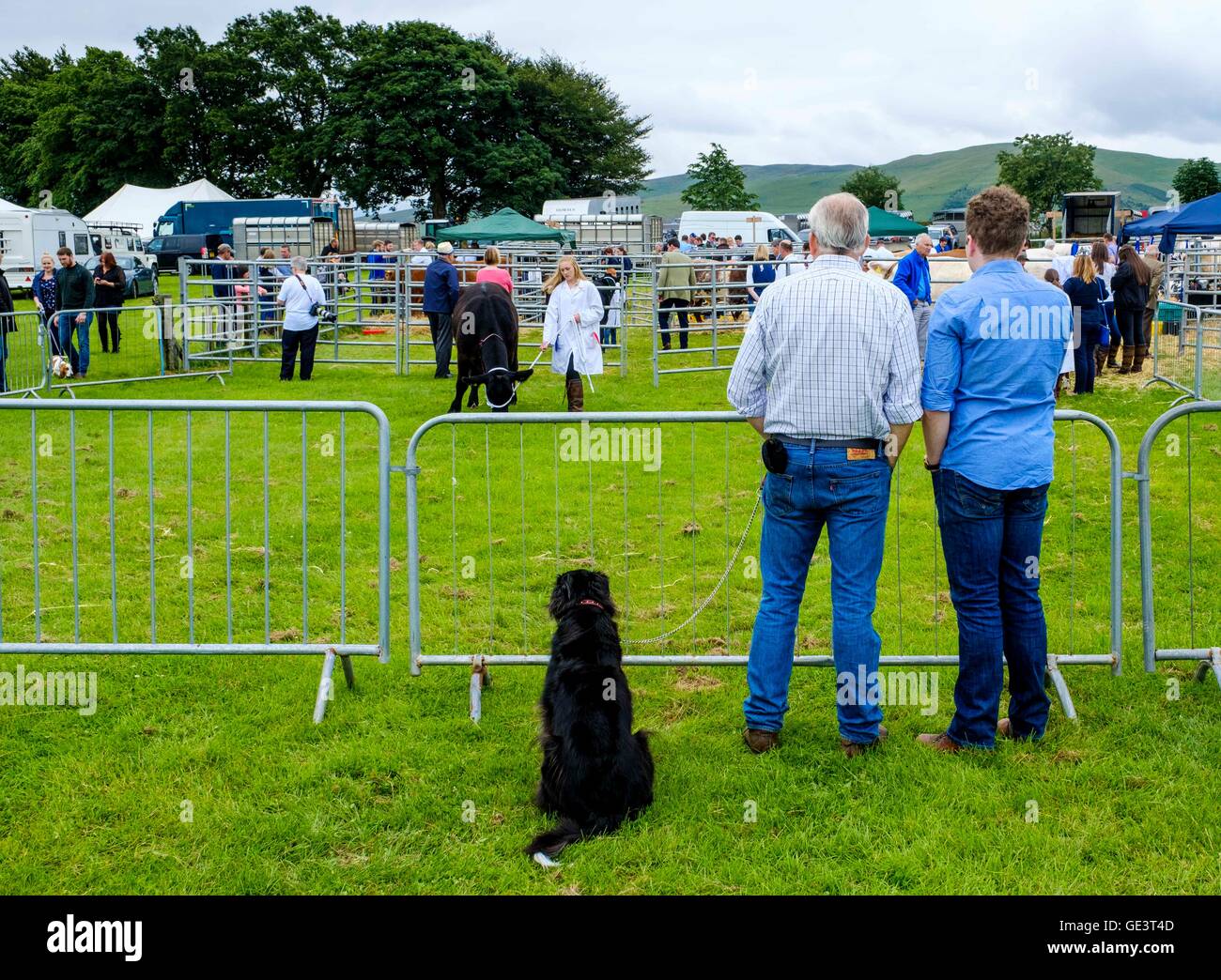 Biggar agricultural show biggar south hi-res stock photography and ...