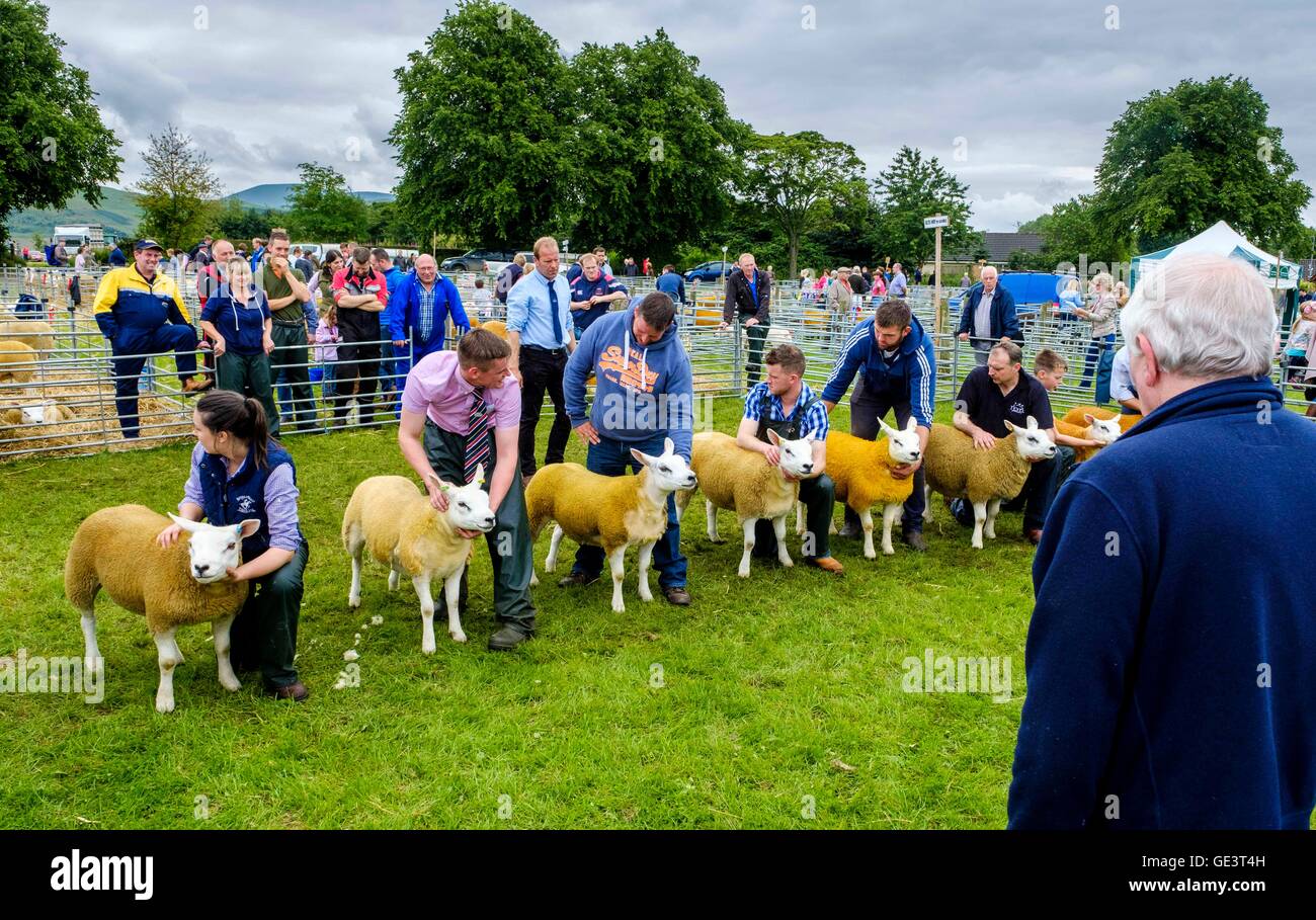 Biggar agricultural show biggar south hi-res stock photography and ...