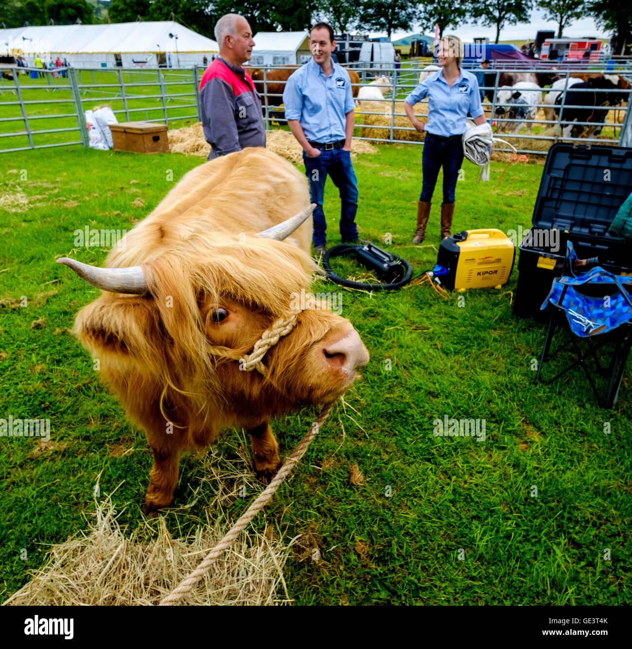 Biggar agricultural show biggar south hi-res stock photography and ...