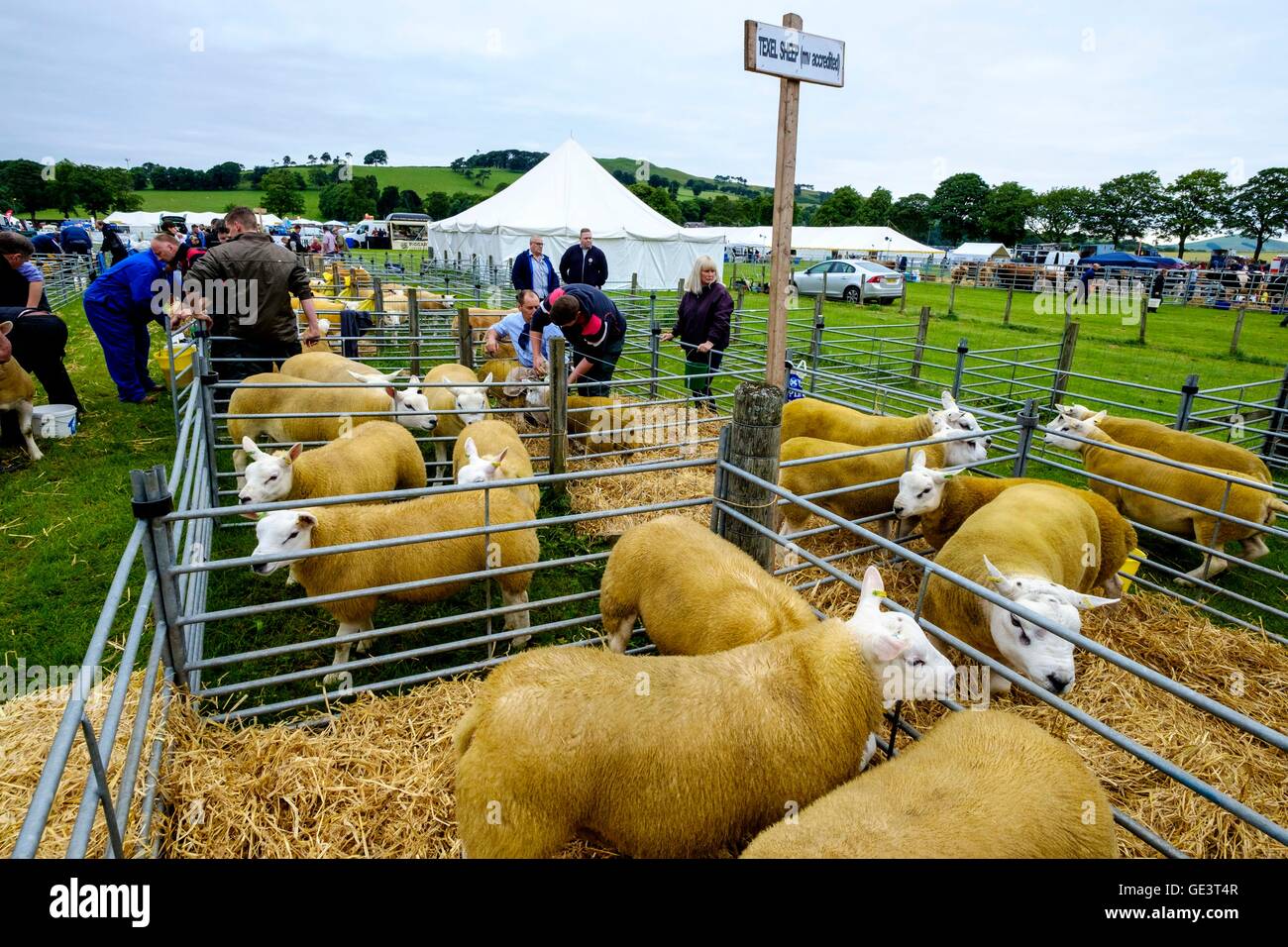 Biggar agricultural show biggar south hi-res stock photography and ...