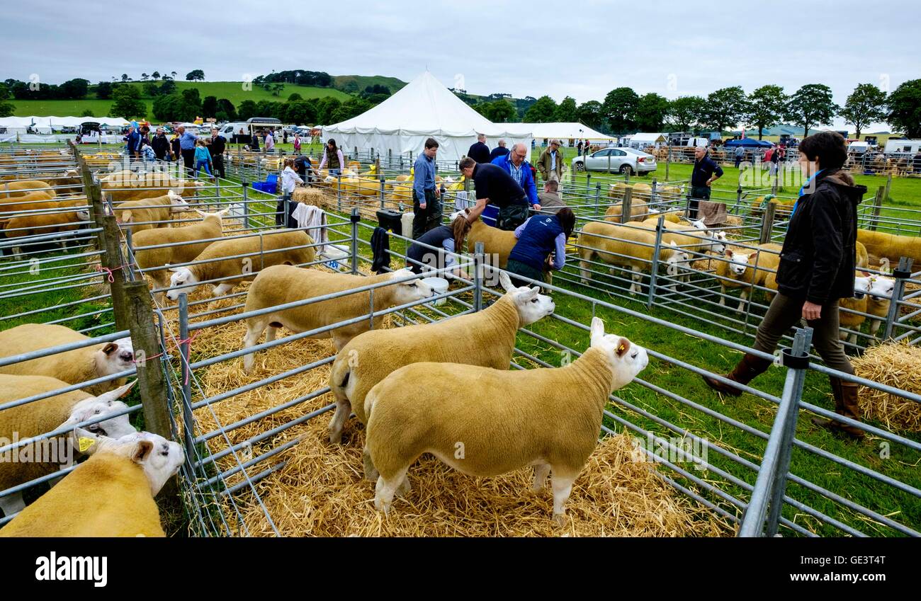 Biggar agricultural show biggar south hi-res stock photography and ...
