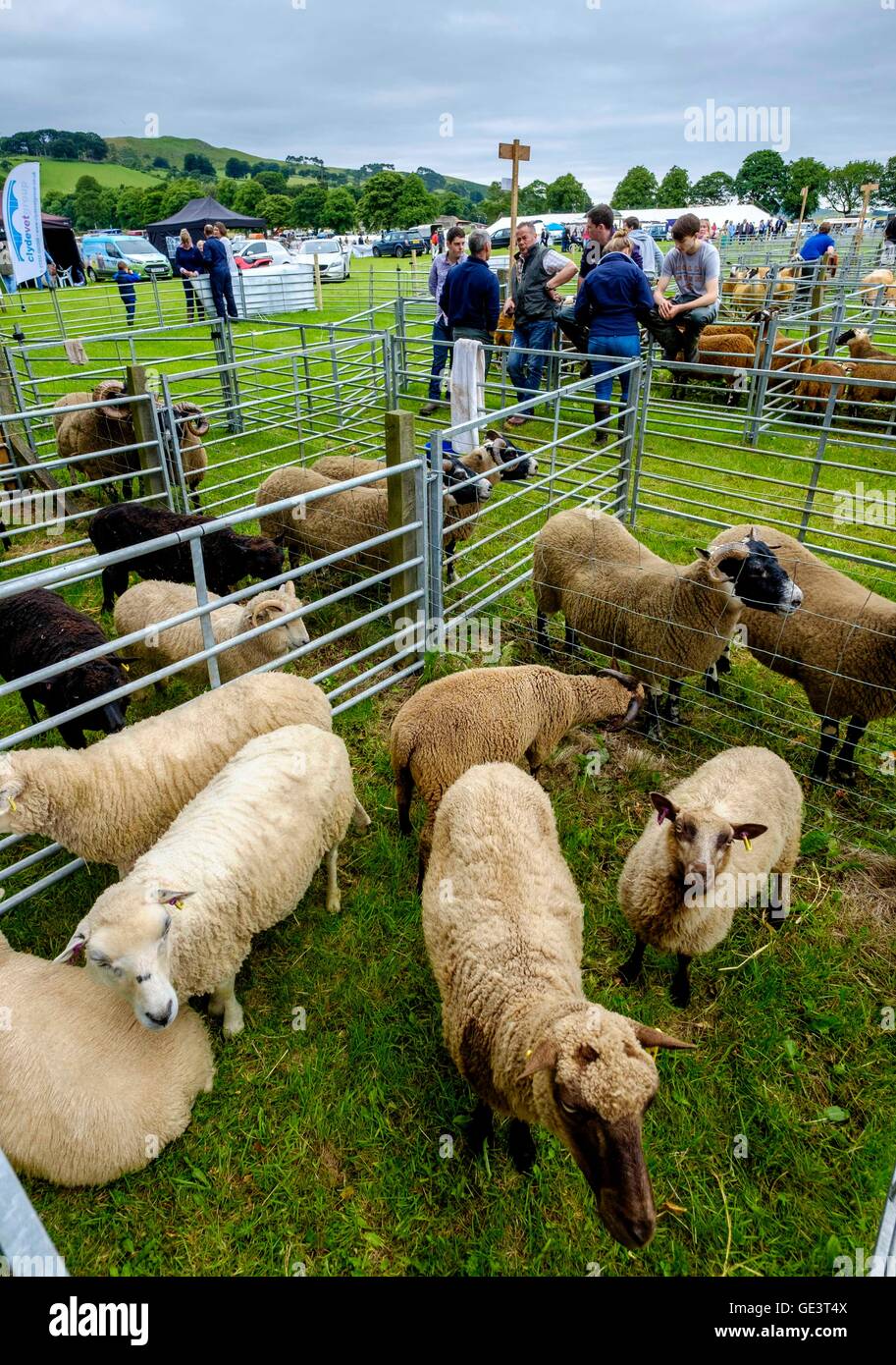 Biggar agricultural show biggar south hi-res stock photography and ...