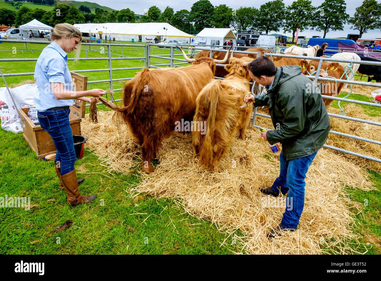 Biggar agricultural show biggar south hi-res stock photography and ...