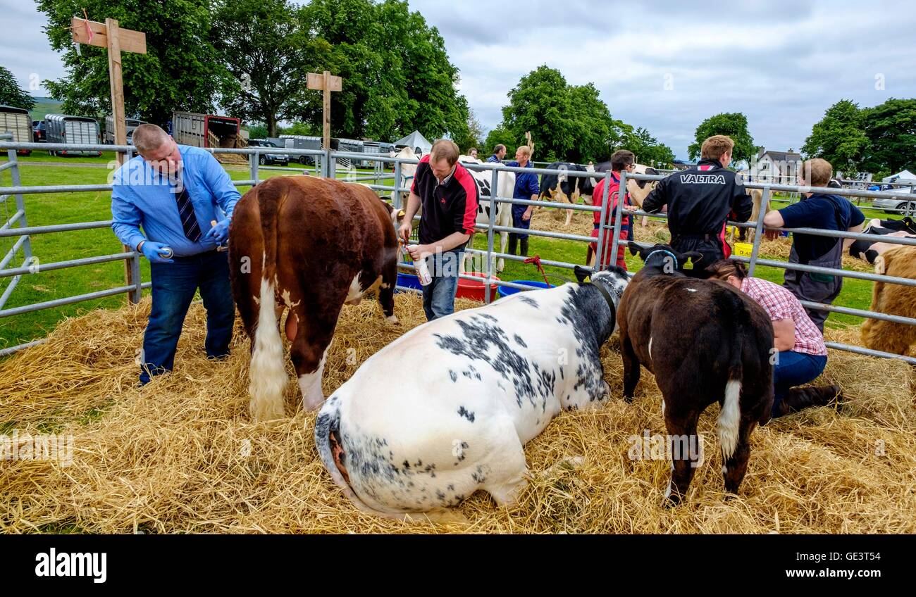 Biggar agricultural show biggar south hi-res stock photography and ...
