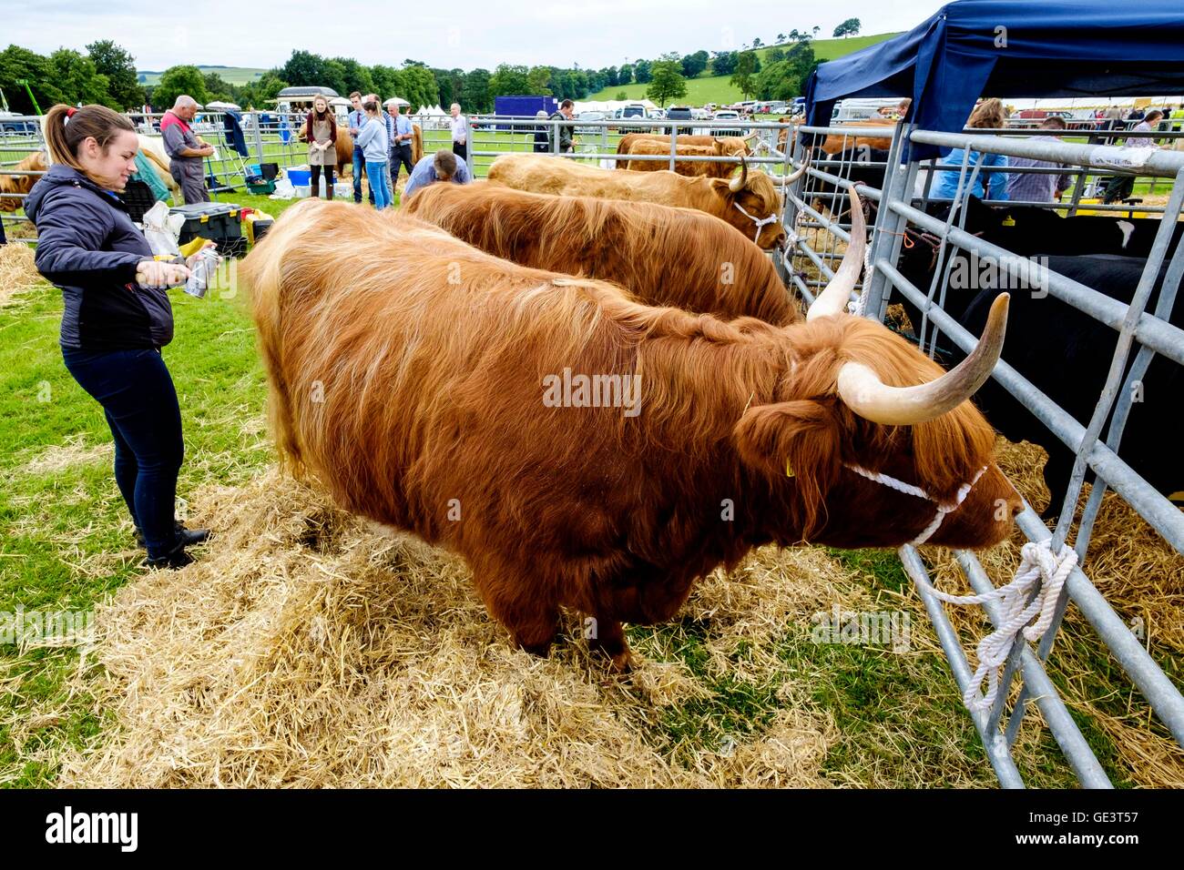 Biggar agricultural show biggar south hi-res stock photography and ...