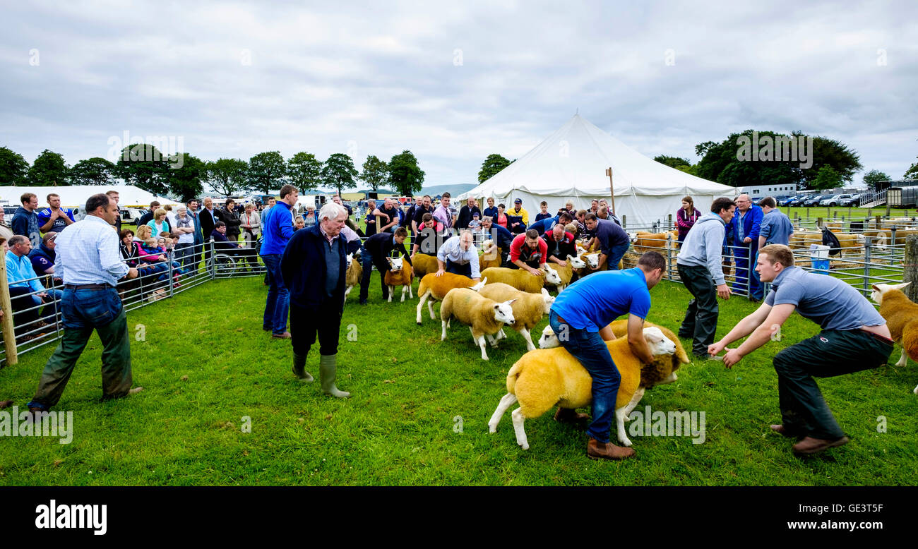 Biggar agricultural show biggar south hi-res stock photography and ...