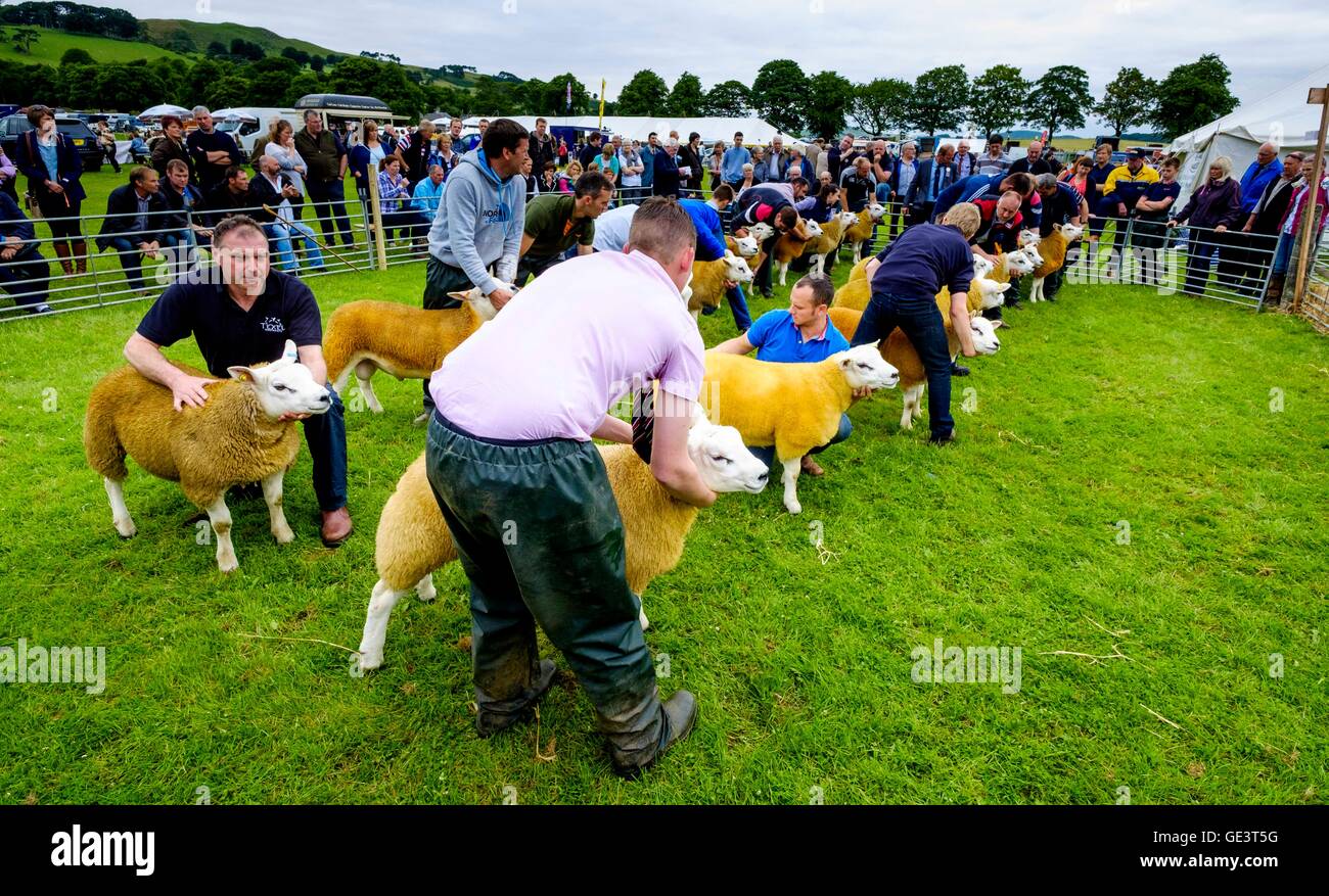 Biggar Agricultural Show - Biggar, South Lanarkshire - 23rd July 2016 ...