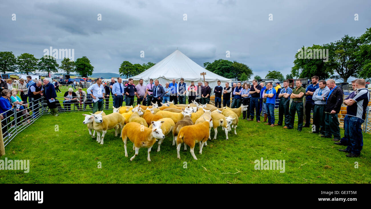 Biggar agricultural show biggar south hi-res stock photography and ...