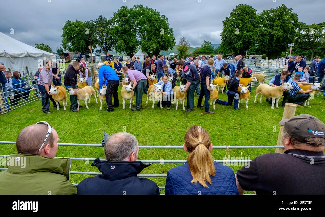 Biggar Agricultural Show - Biggar, South Lanarkshire - 23rd July 2016 ...