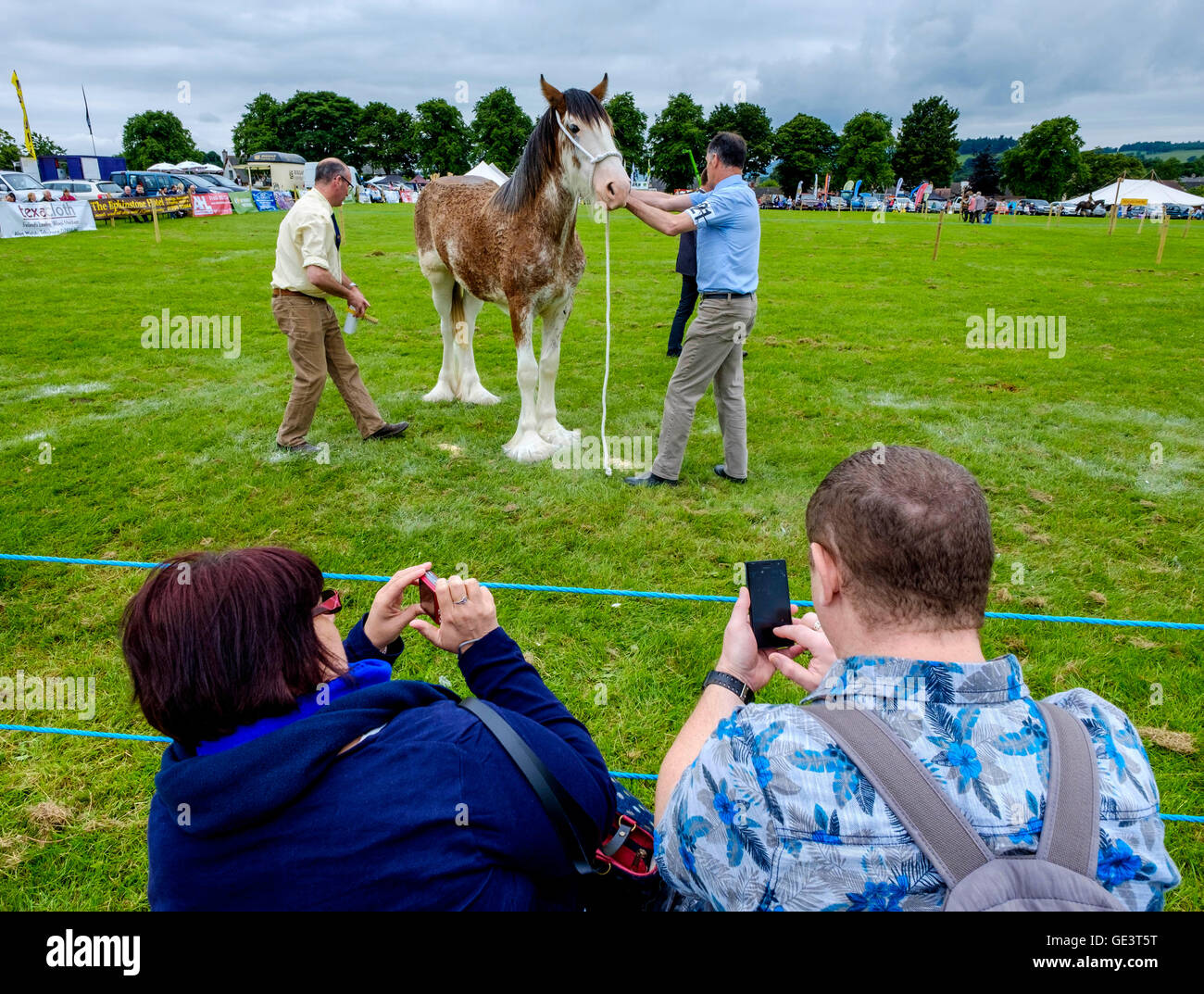 Clydesdale horses in scotland hi-res stock photography and images - Alamy