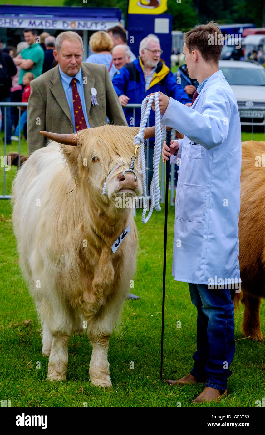 Biggar Agricultural Show - Biggar, South Lanarkshire - 23rd July 2016 ...