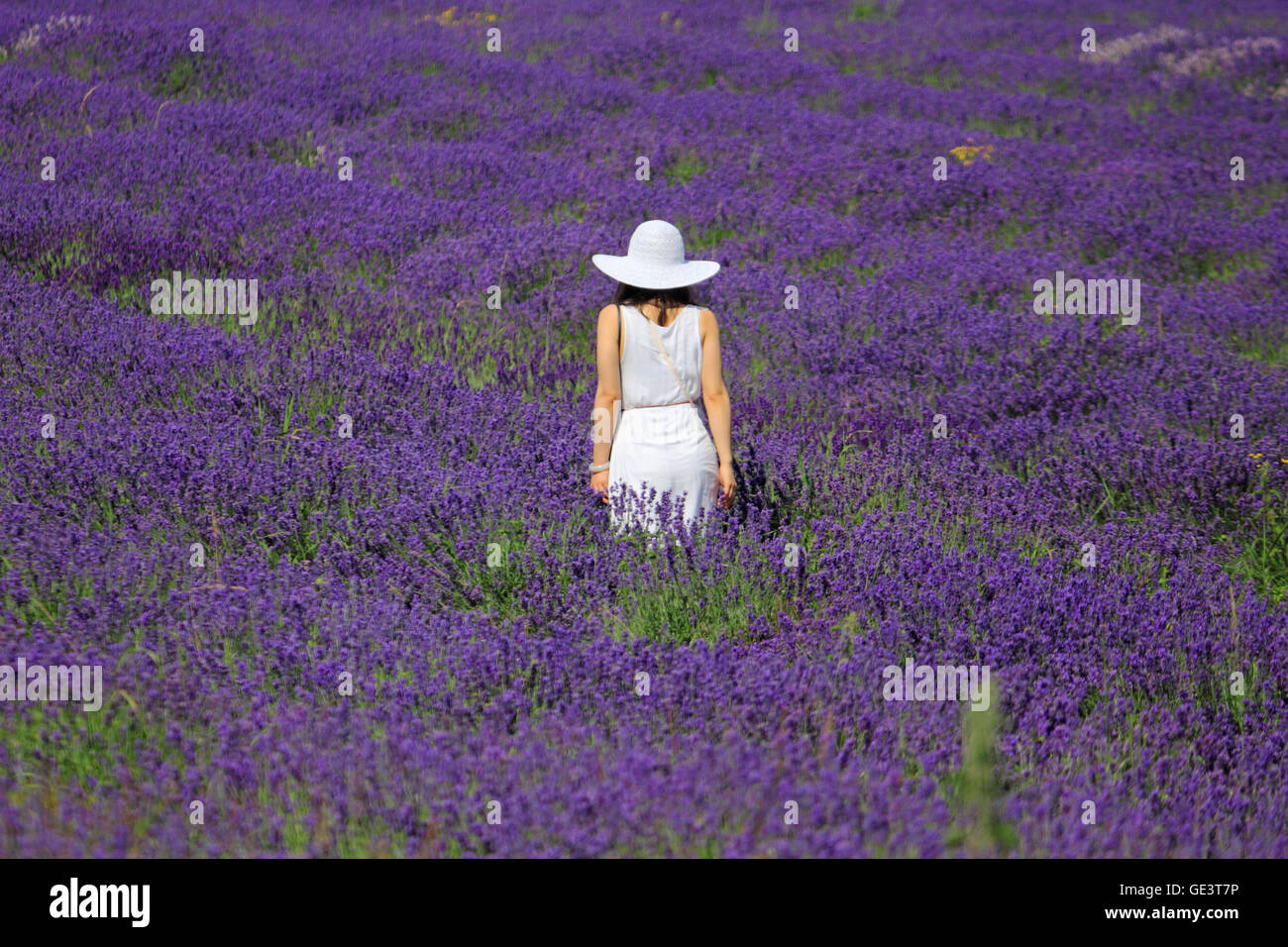 Banstead, Surrey, UK. 23rd July 2016. A woman in white stands in the ...