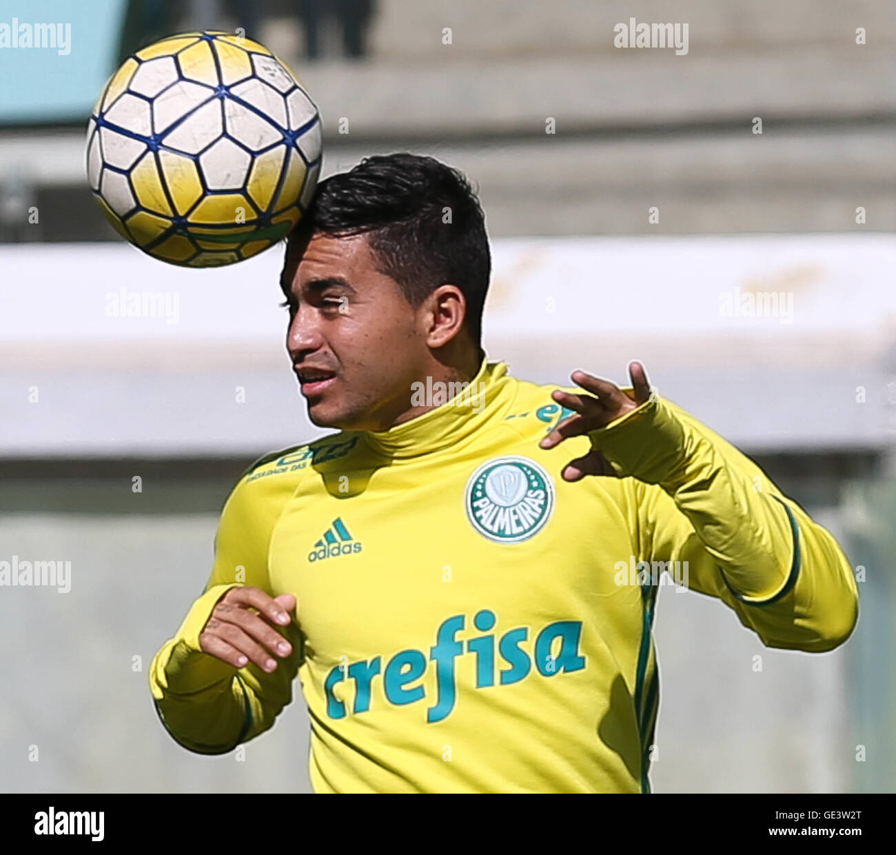 Dudu player, SE Palmeiras, during training, the Allianz Arena Park ...