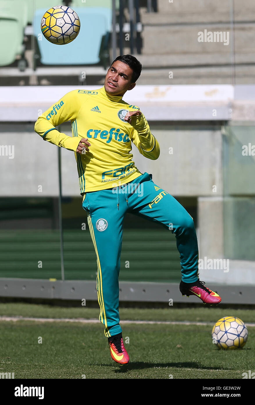 Dudu player, SE Palmeiras, during training, the Allianz Arena Park ...