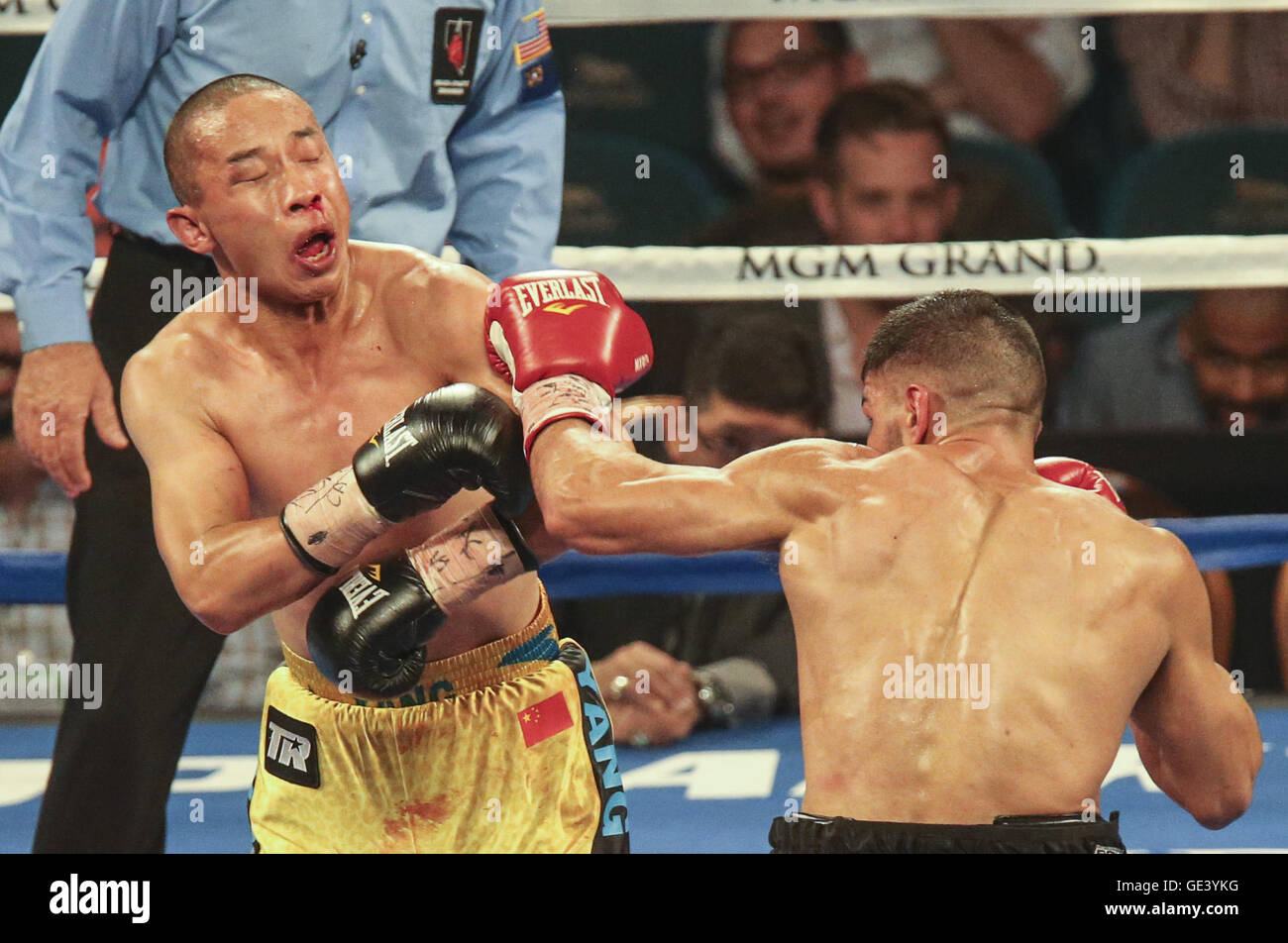 Chinese boxer hi-res stock photography and images - Alamy