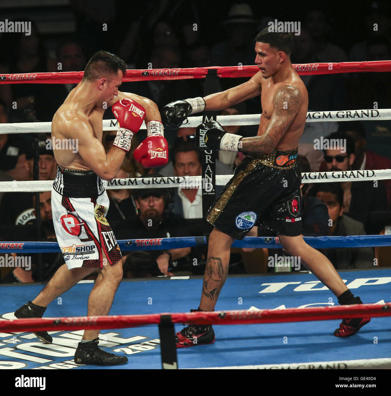 Las Vegas, Nevada, USA. 23rd July, 2016. Jose Benavidez, Jr. fights ...