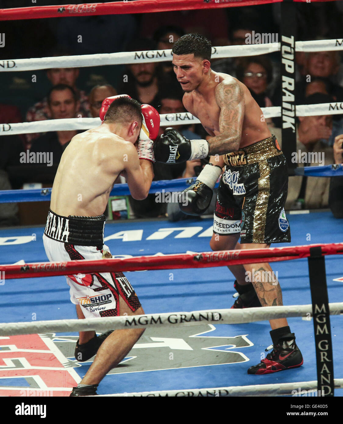 Las Vegas, Nevada, USA. 23rd July, 2016. Jose Benavidez, Jr. fights ...