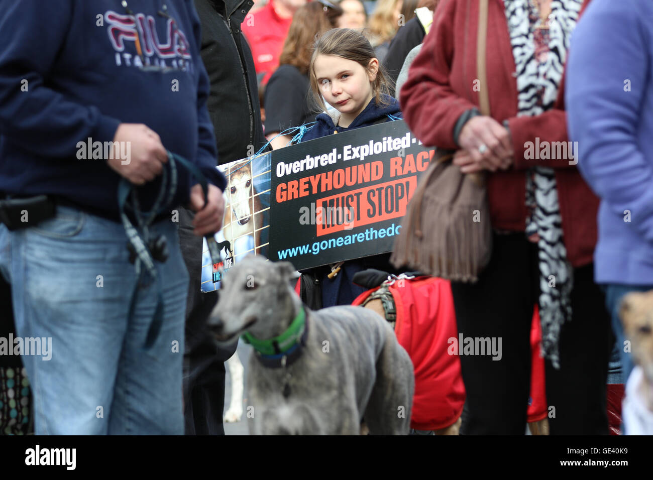 Sydney, Australia. 24 July 2016. The AGRN NSW (Anti Greyhound Racing ...