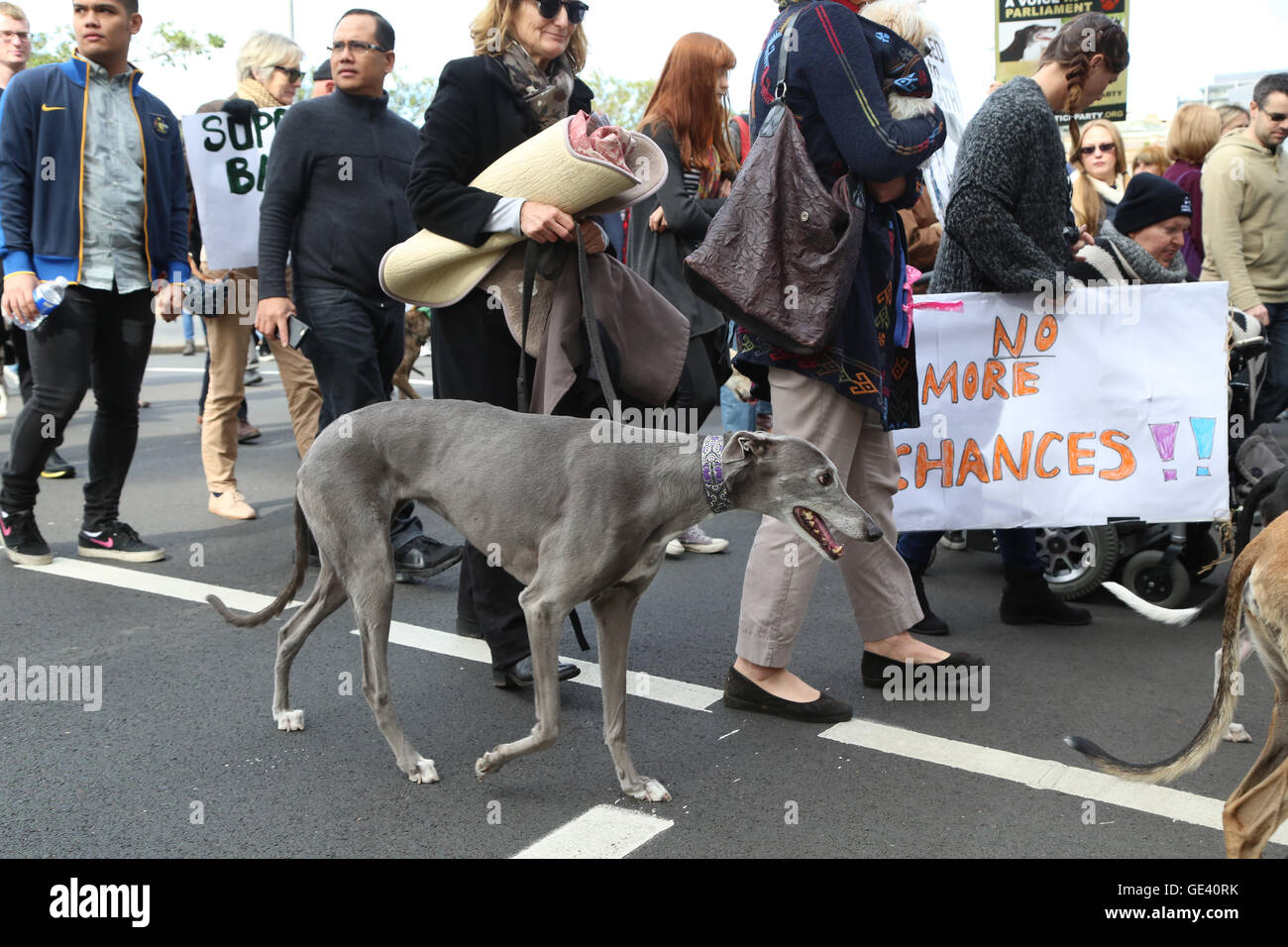Sydney, Australia. 24 July 2016. The AGRN NSW (Anti Greyhound Racing ...