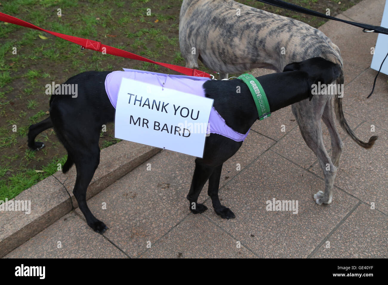 Sydney, Australia. 24 July 2016. The AGRN NSW (Anti Greyhound Racing ...