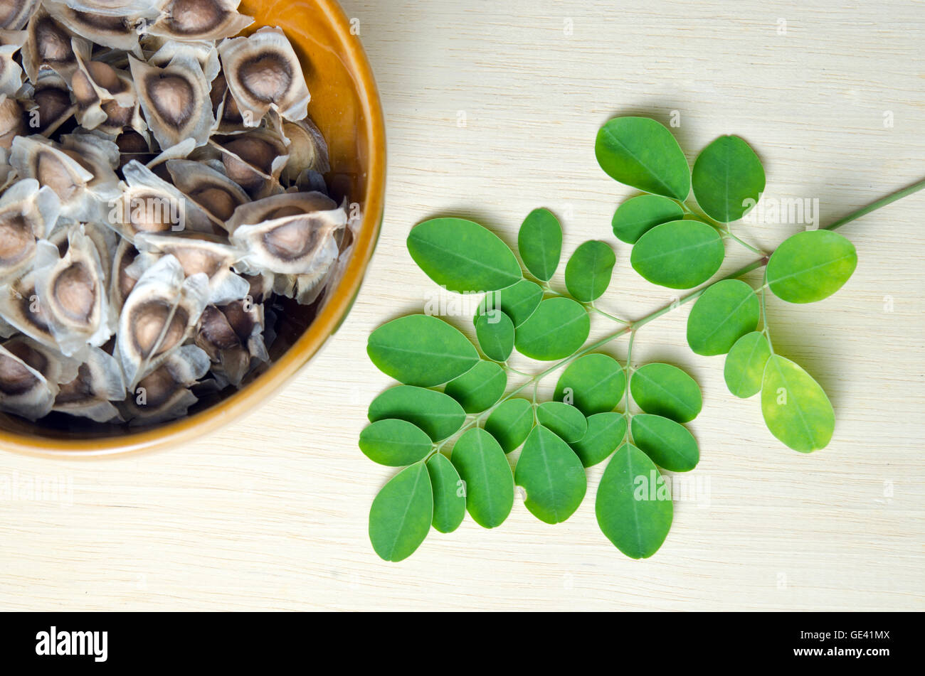 Moringa (Other names are Moringa oleifera Lam., MORINGACEAE, Futaba kom ...