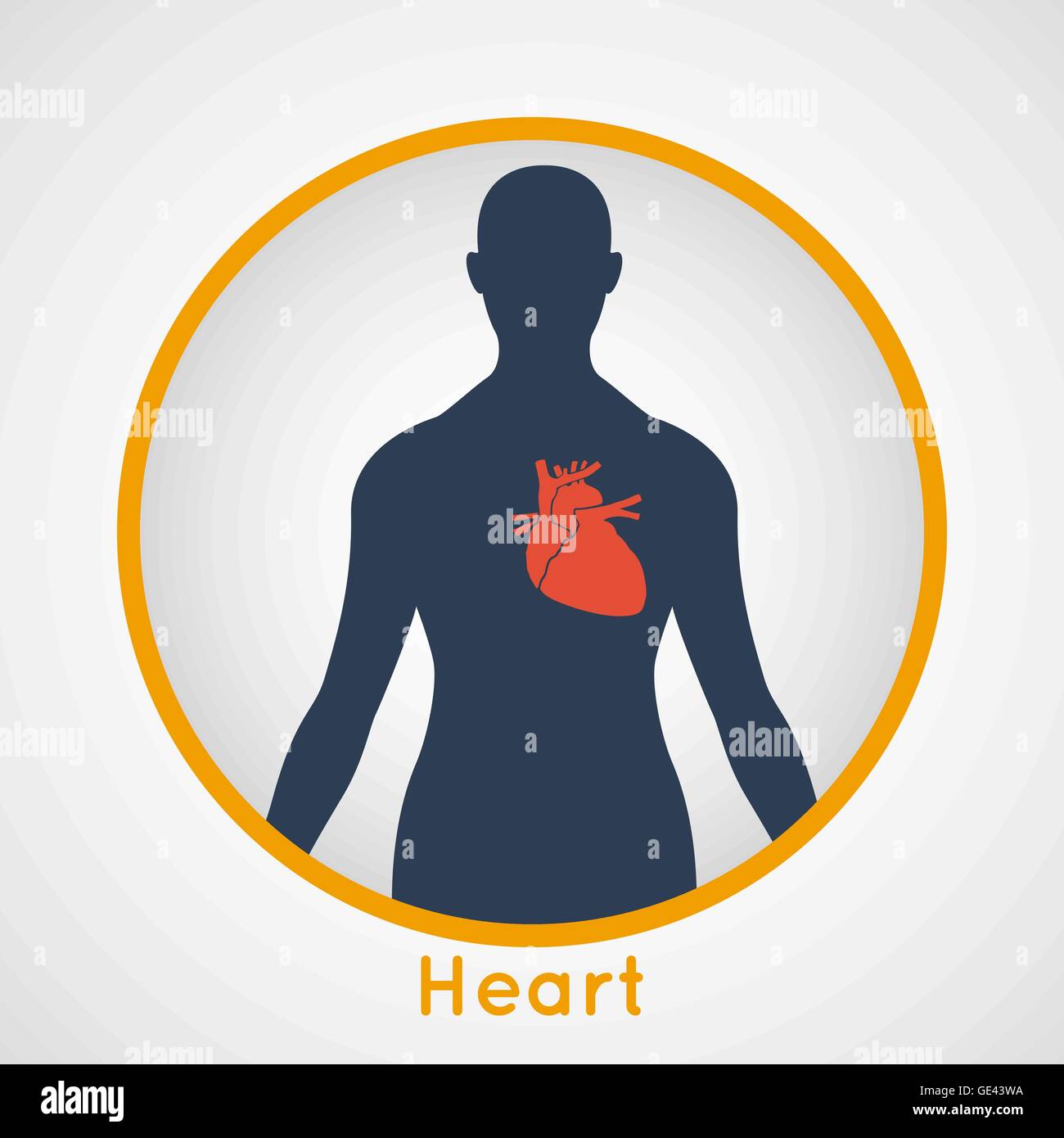 Human heart logo vector Stock Vector Image & Art - Alamy