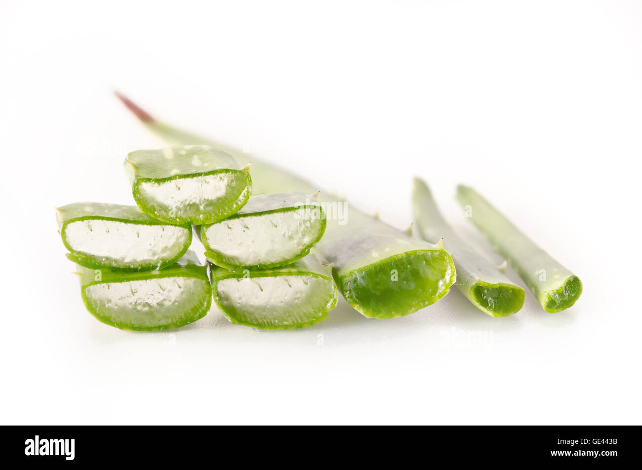 Aloe Vera (Also called as Aloe barbadensis Mill., Star cactus, Aloe ...