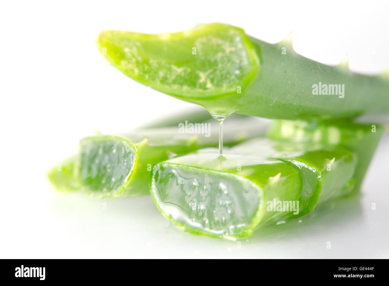 Aloe Vera (Also called as Aloe barbadensis Mill., Star cactus, Aloe ...
