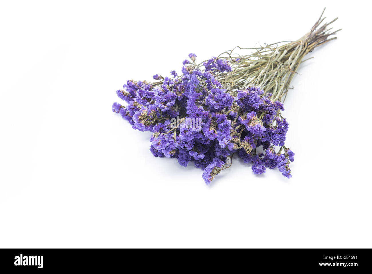 Dry statice flower on white background Stock Photo - Alamy