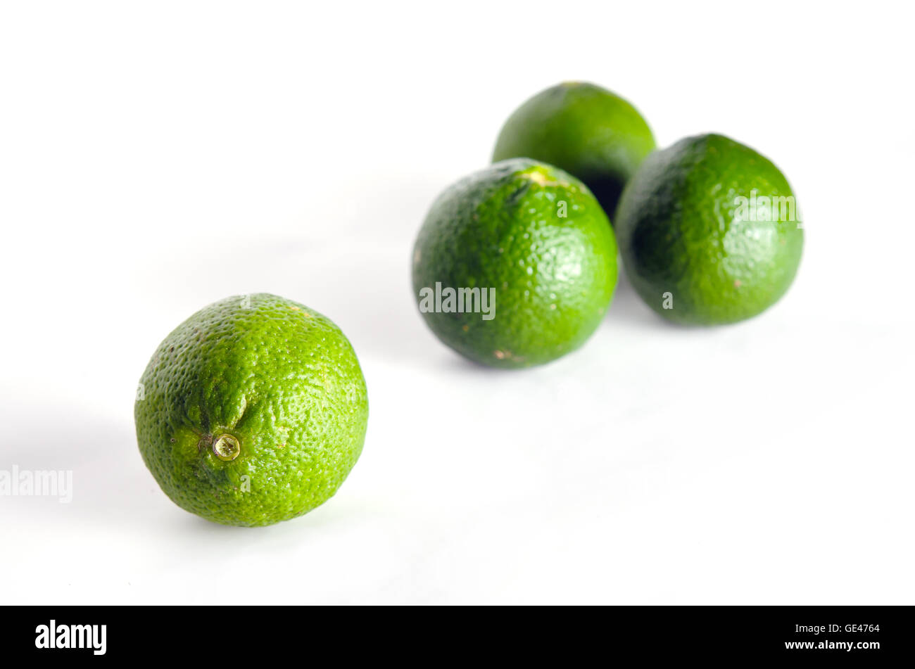 Bergamots Other Names Are Kaffir Lime Citrus Magnoliophyta Rutaceae