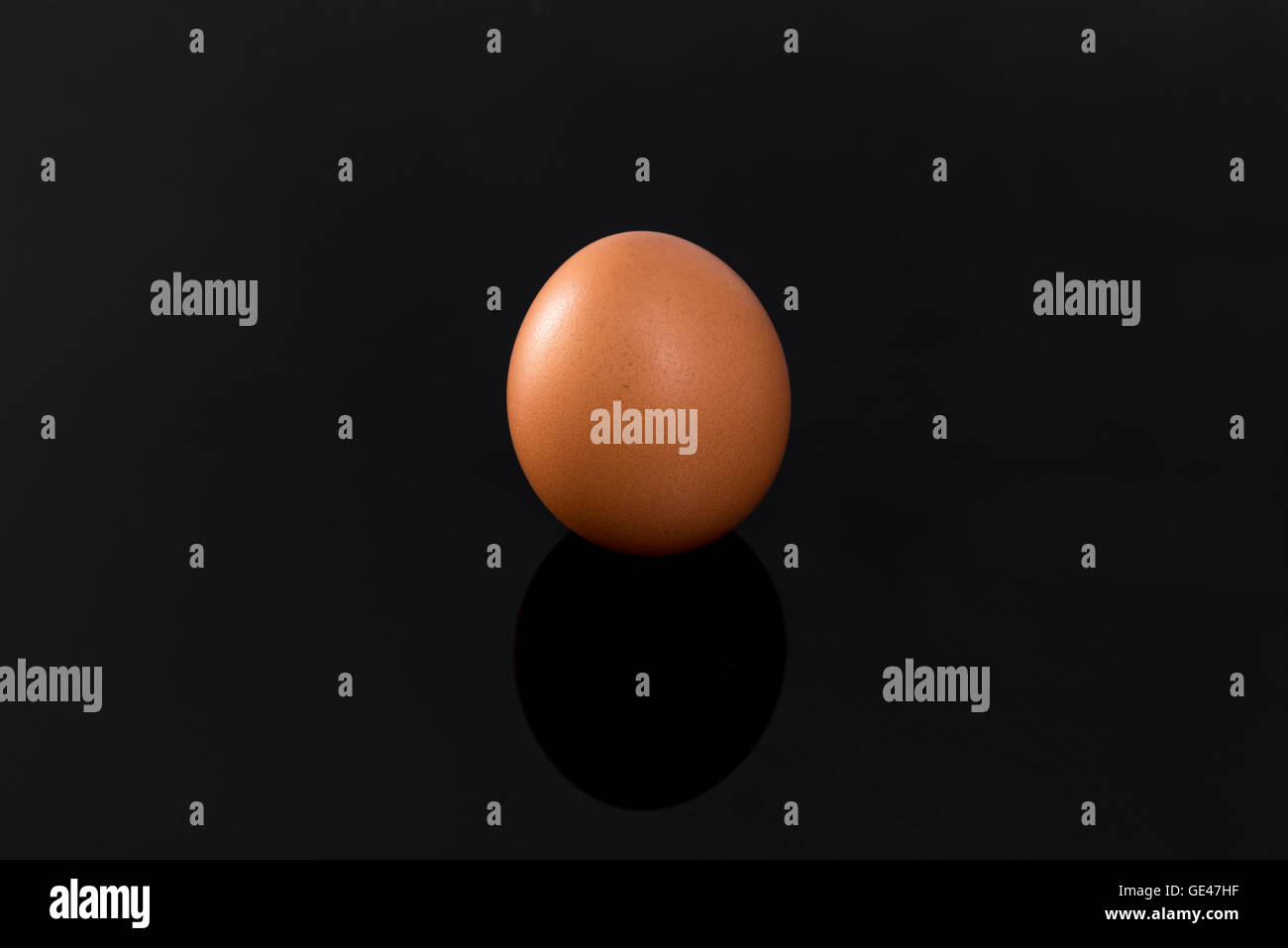 egg on black background Stock Photo - Alamy