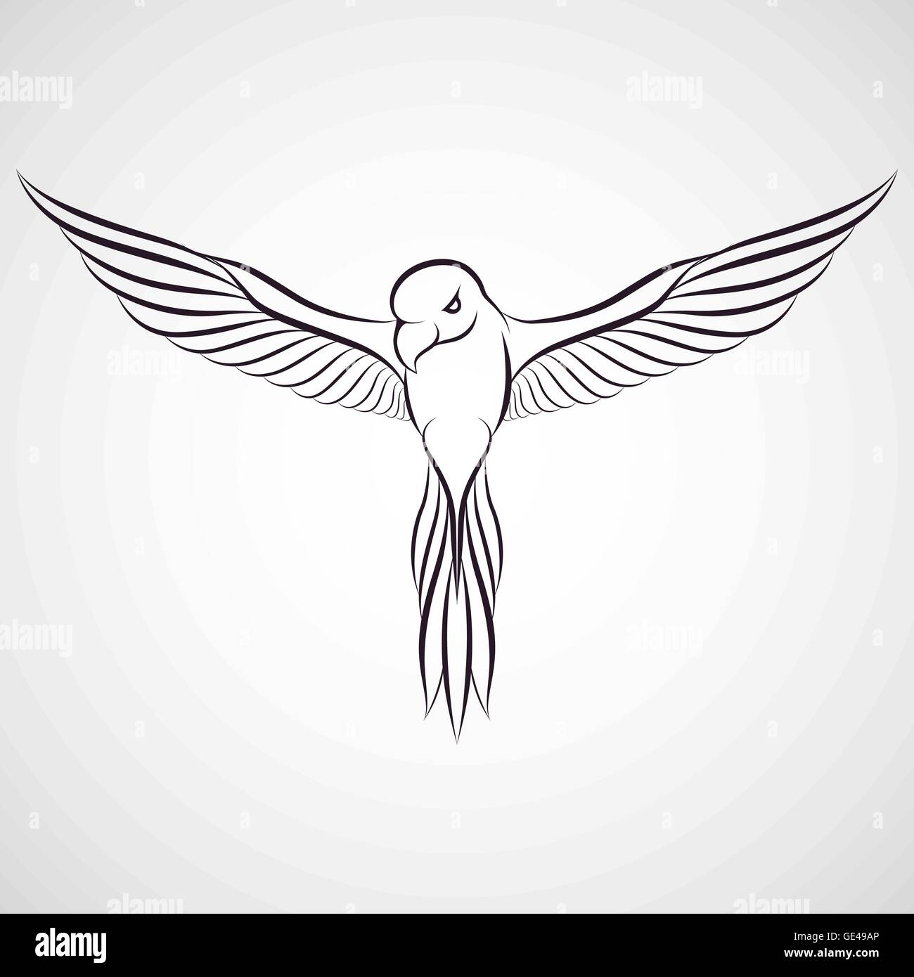 Parrot logo hi-res stock photography and images - Alamy