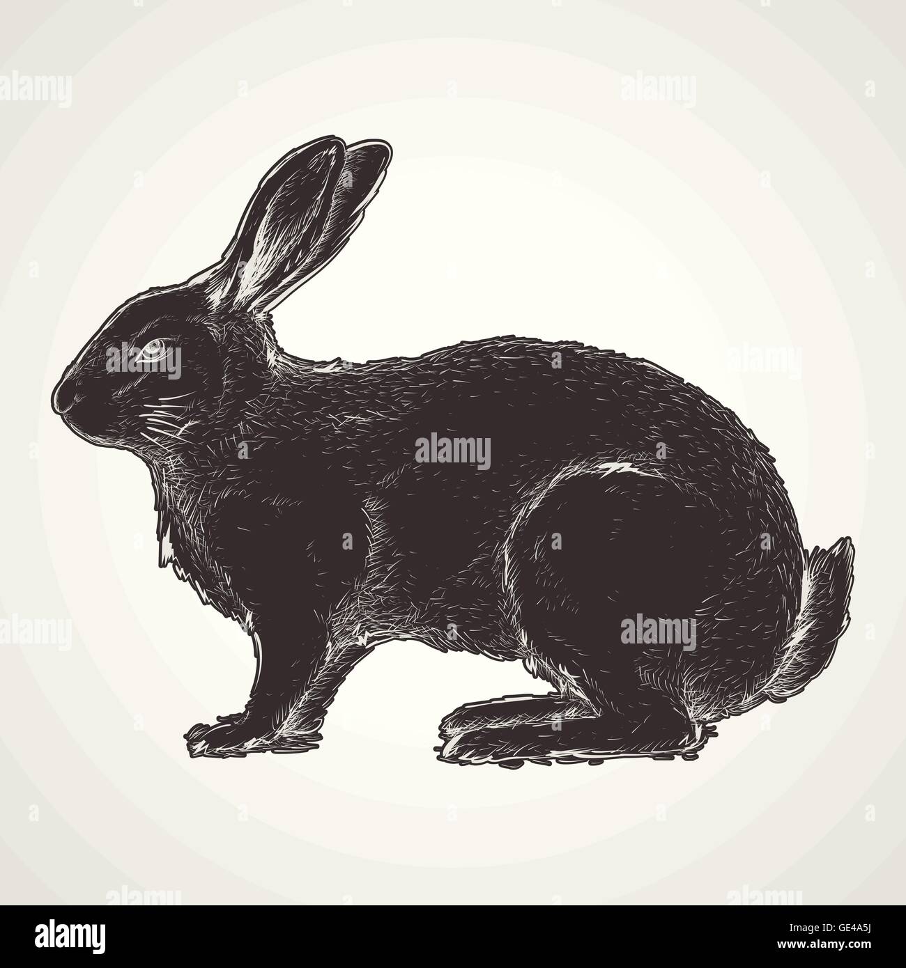 Rabbit vintage hi-res stock photography and images - Alamy