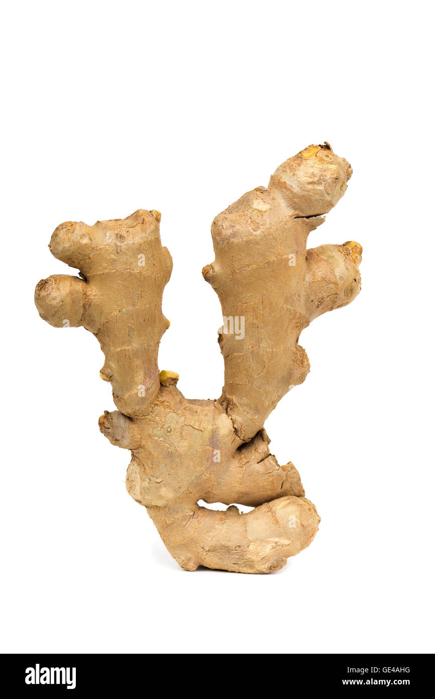 a piece of ginger root on a white background Stock Photo - Alamy
